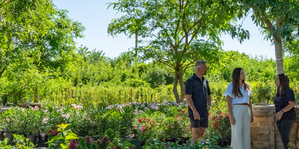 Moon Valley Nursery - Arizona Blog